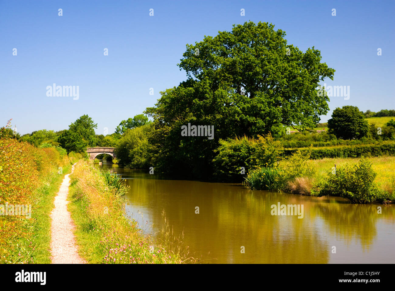 Macclesfield Canal High Resolution Stock Photography and Images - Alamy