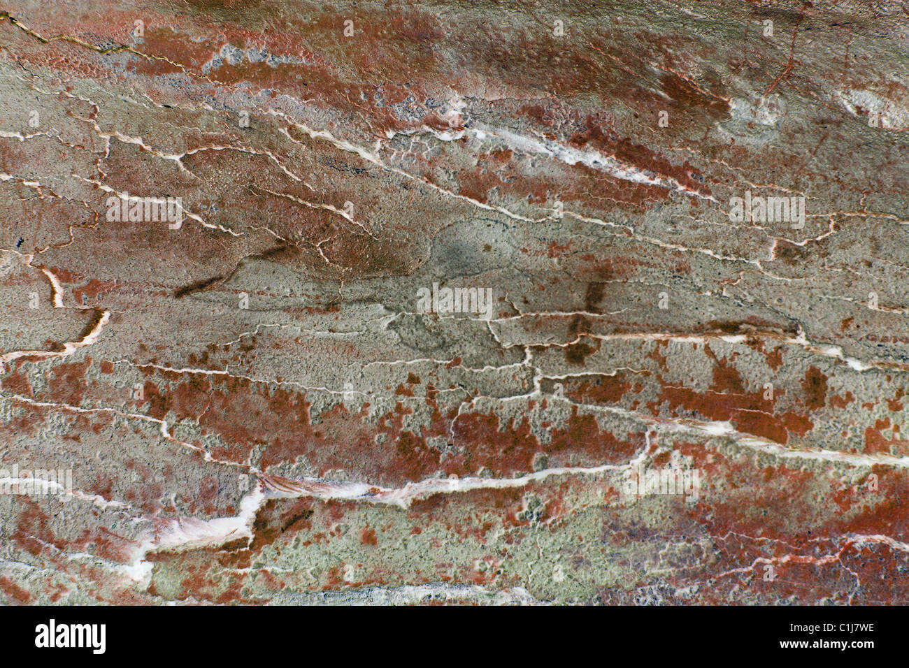 Tree bark roughness hi-res stock photography and images - Alamy