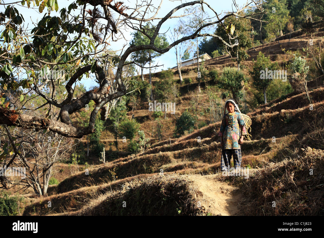 Landscape in the Nepali hills Stock Photo - Alamy