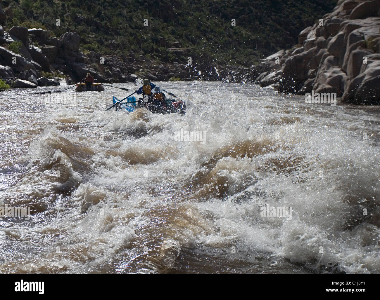2 couples rafting on the Salt River in Arizona, USA on inflatable ...
