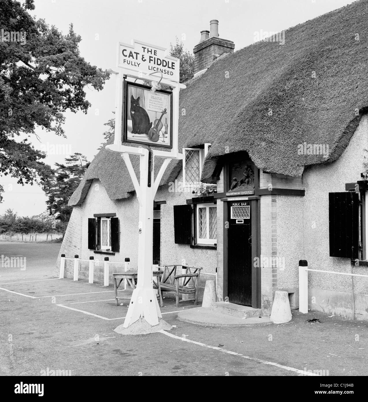 Uk white admiral Black and White Stock Photos & Images - Alamy