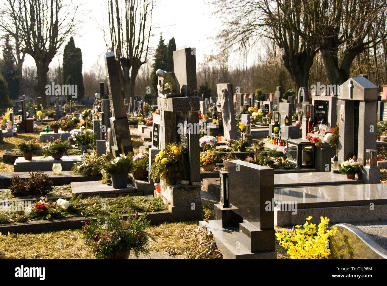view of a cemetery Stock Photo - Alamy