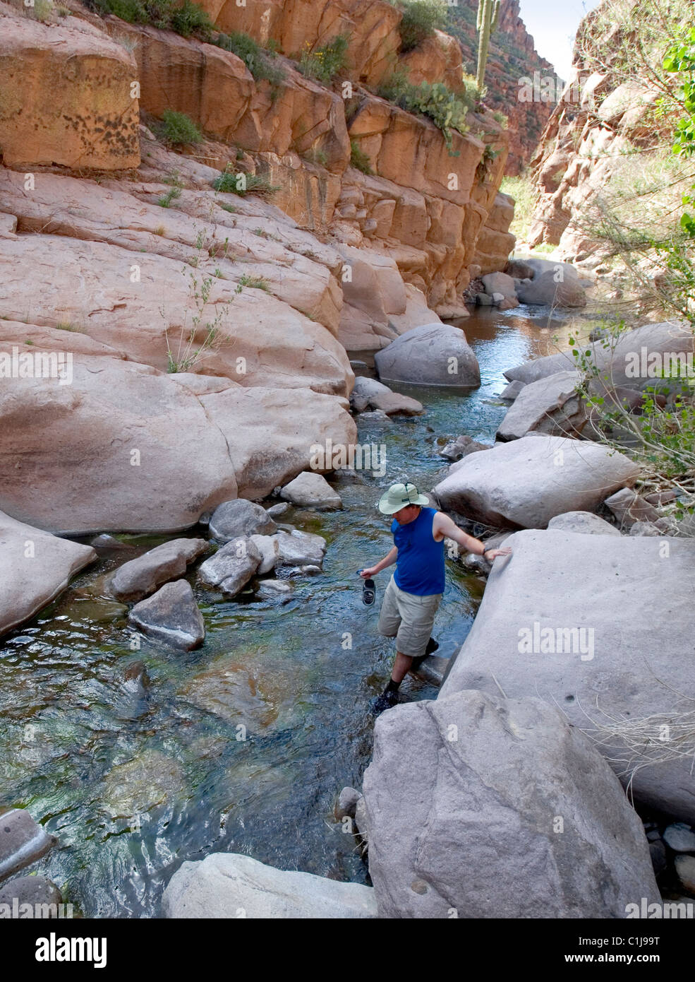 A man exploring a small creek in Arizona. This one is a small tributary ...
