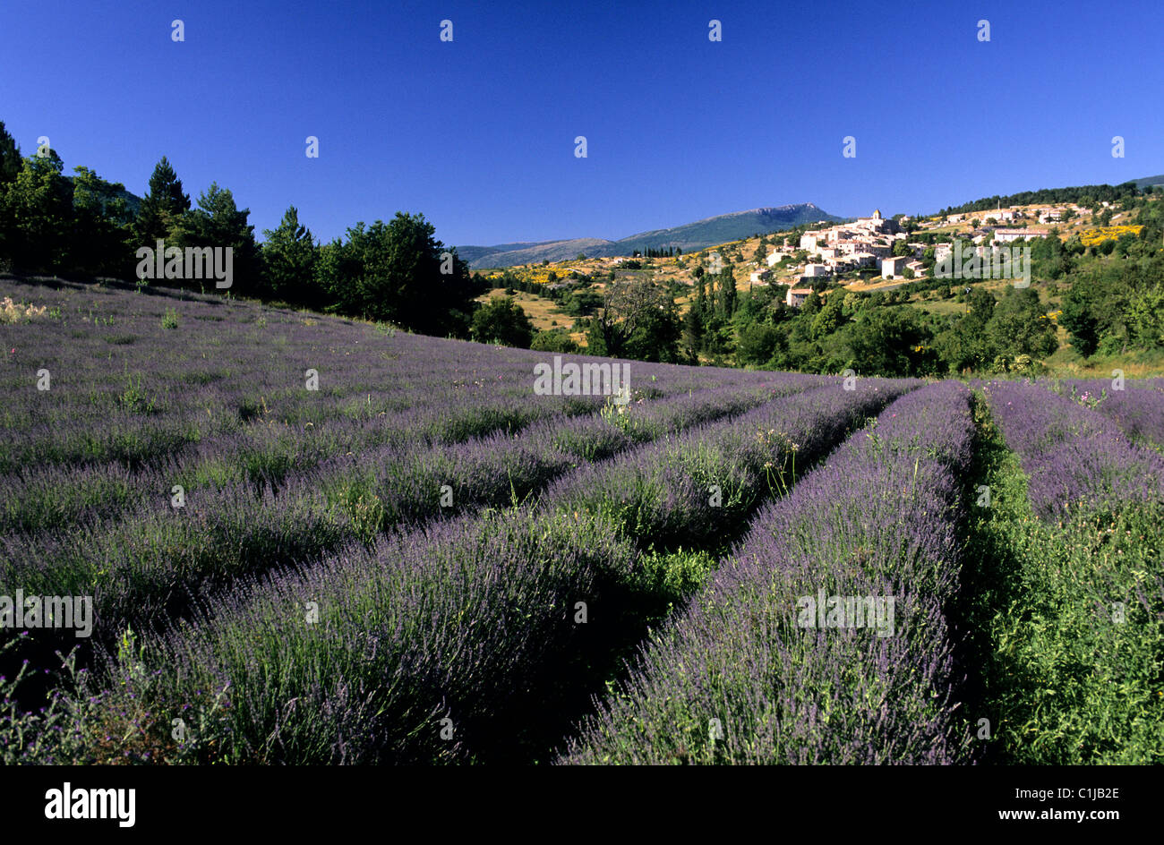 France, Vaucluse, Aurel, village on plateau of Albion Stock Photo - Alamy