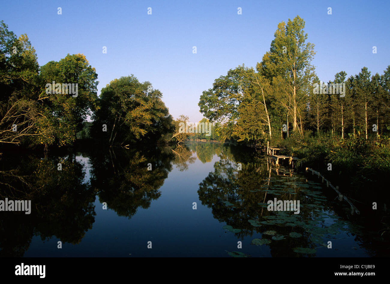 France, Indre et Loire, Touraine region, Indre river's edge Stock Photo ...