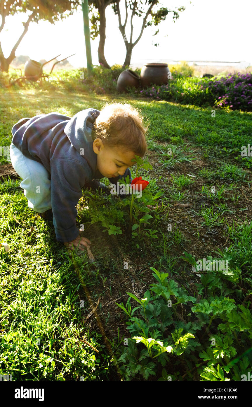 A two year old toddler in a field of spring flowers Stock Photo - Alamy