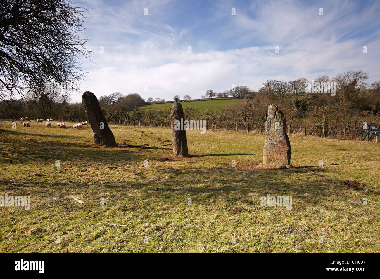 Harolds Stones, Neolithic Standing stones, at the village of Trellech ...