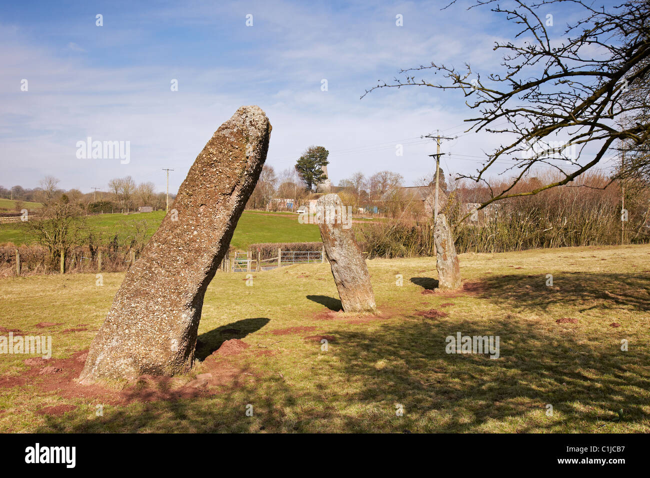 Harolds Stones, Neolithic Standing stones, at the village of Trellech ...