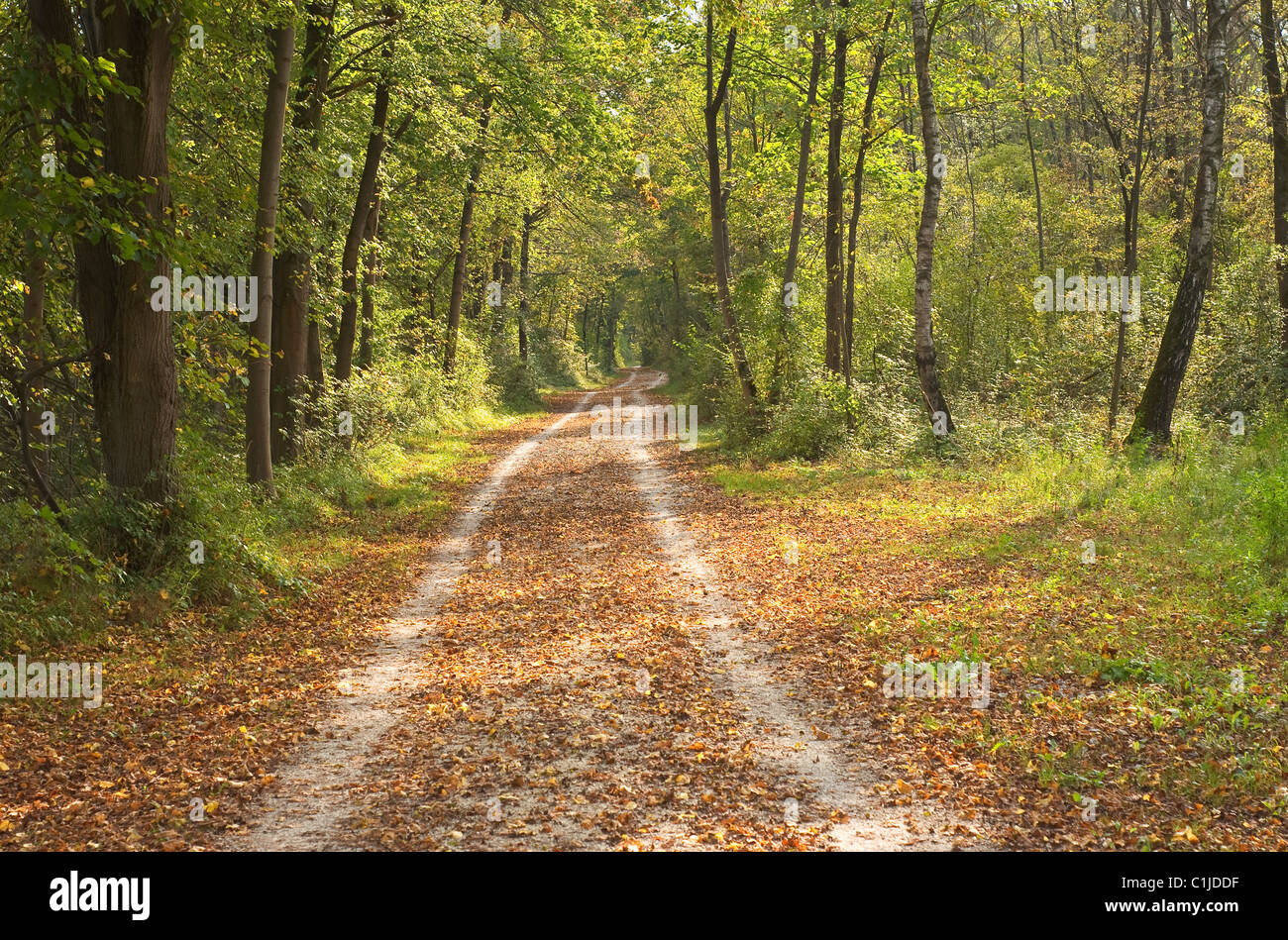 Colorful trail path hi-res stock photography and images - Alamy