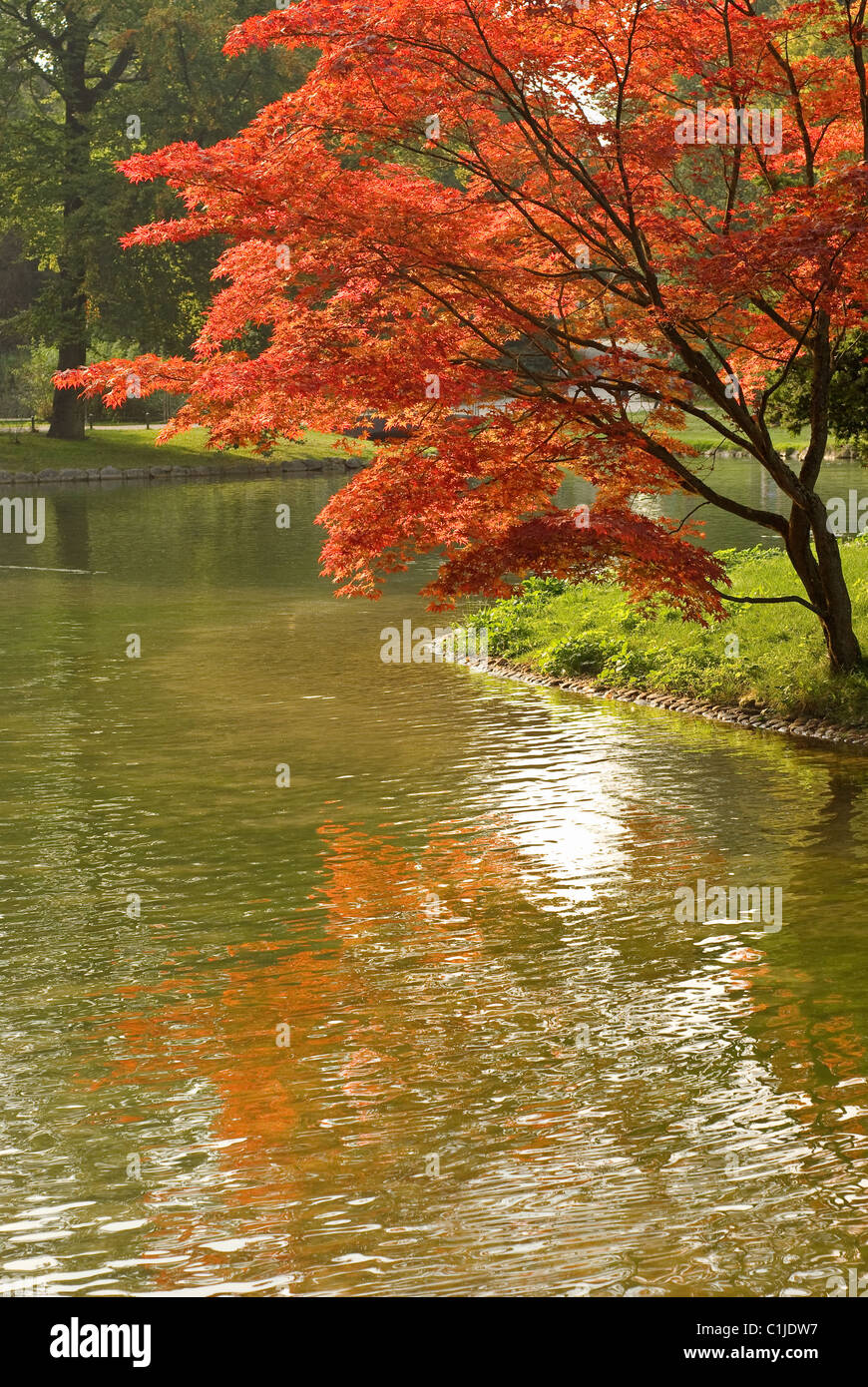 Autumn season autumnal fall colors hi-res stock photography and images ...