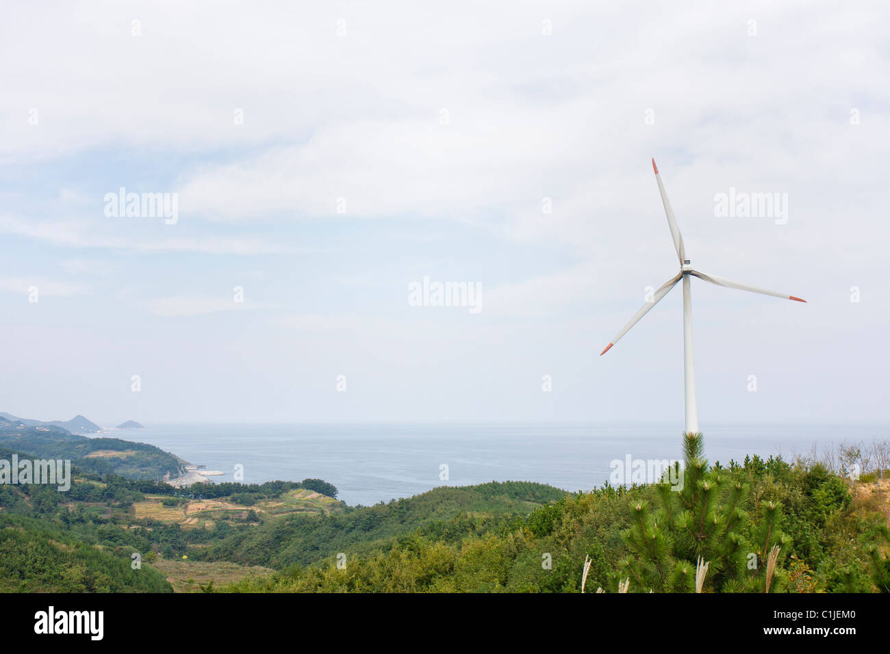 South korean power hi-res stock photography and images - Alamy