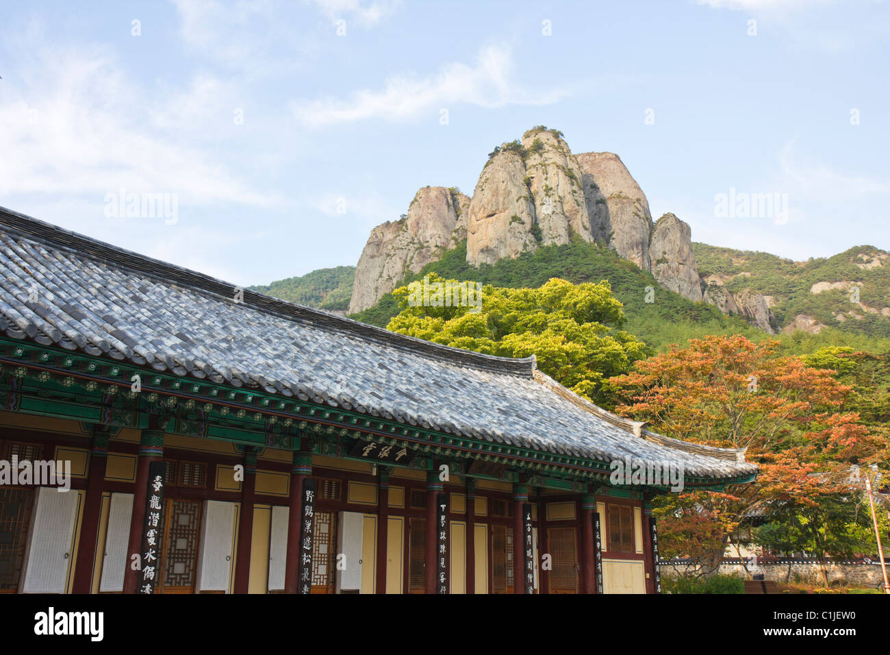 Daejeon korea hi-res stock photography and images - Alamy