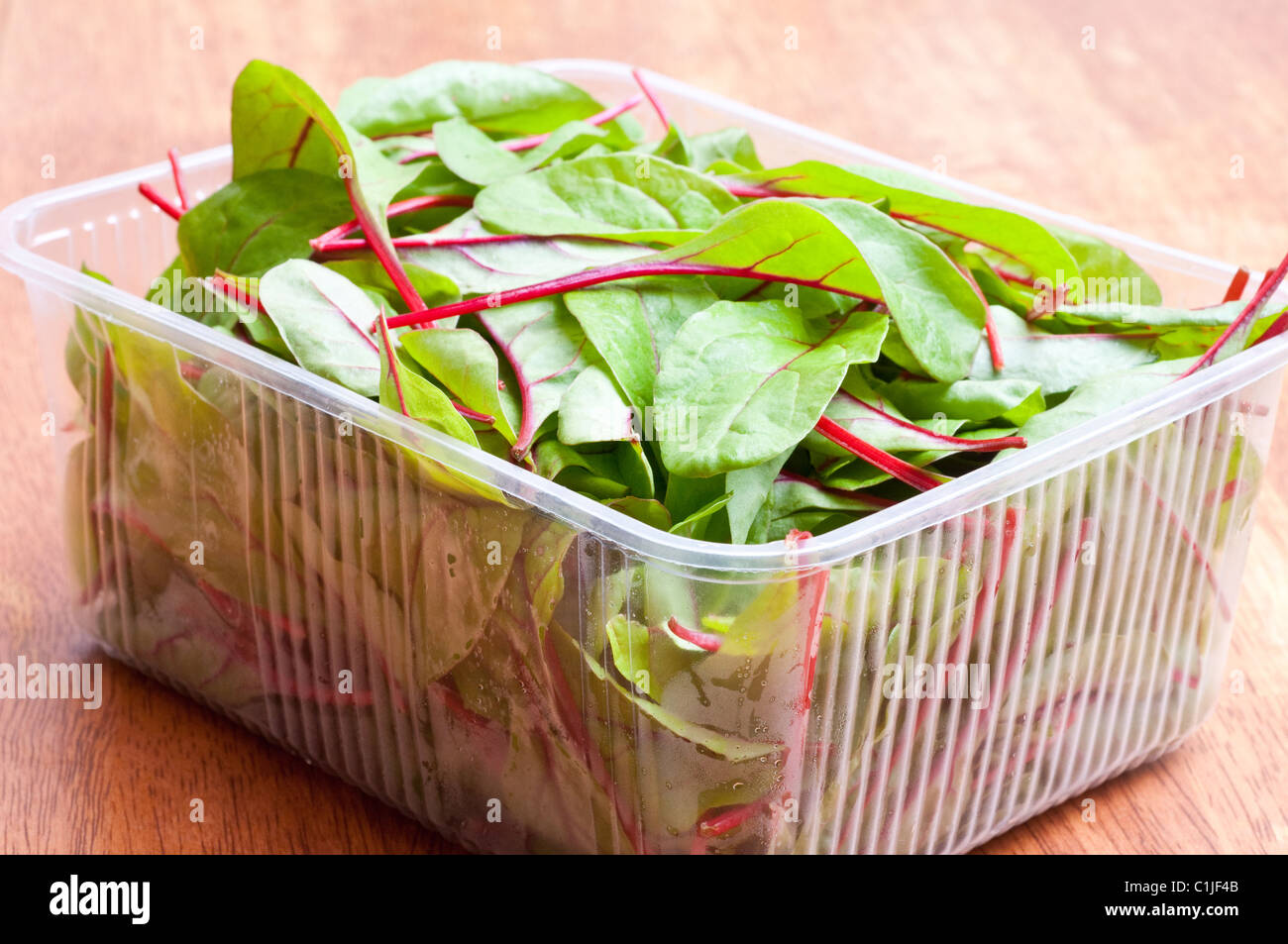 Organic Spring Mix green Lettuce Stock Photo - Alamy