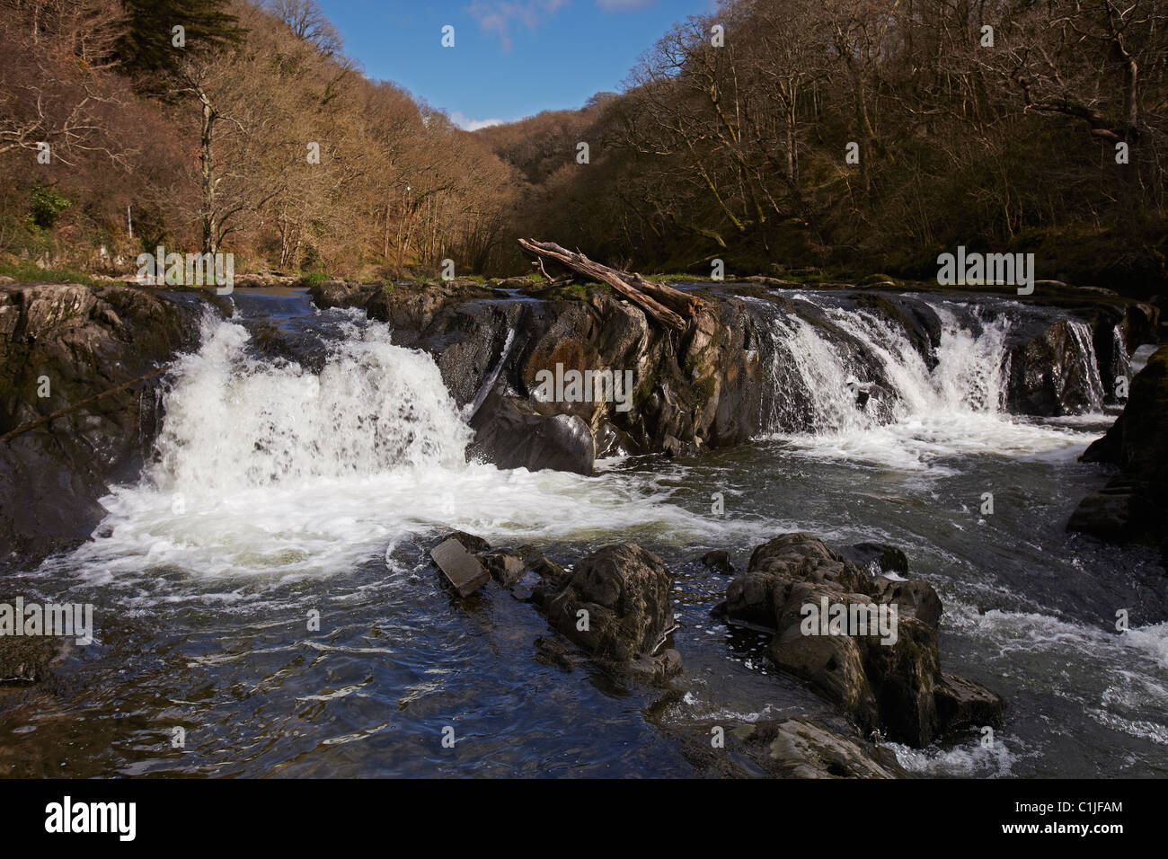 Cenarth falls hi-res stock photography and images - Alamy
