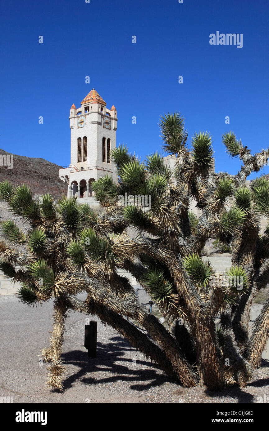 The joshua tree death valley hi-res stock photography and images - Alamy