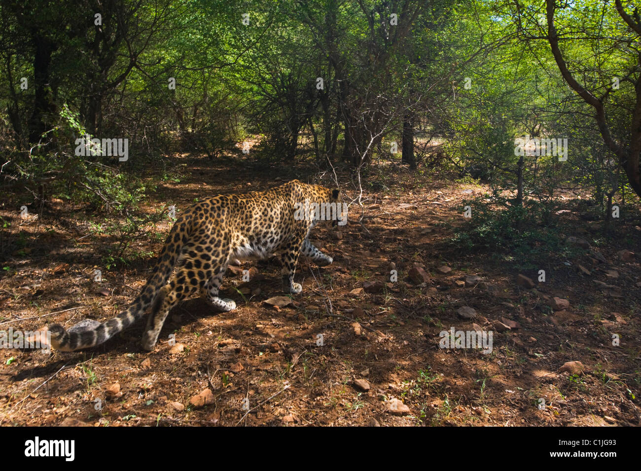 Common situation hi-res stock photography and images - Alamy