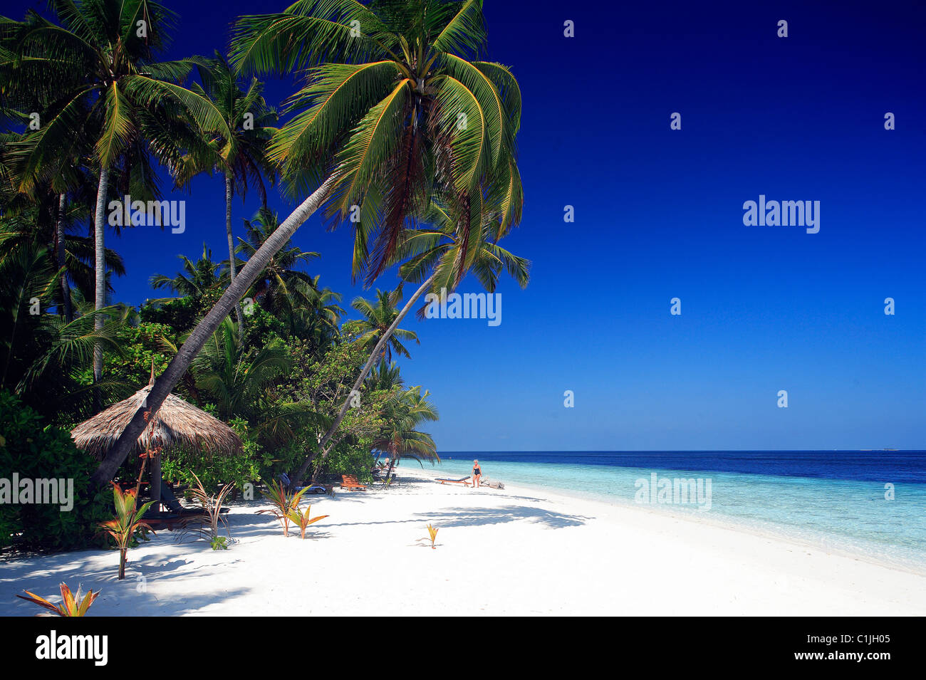 Maldives, Atoll Faafu (80 miles south of Male), Filitheyo Resort, 5 ...