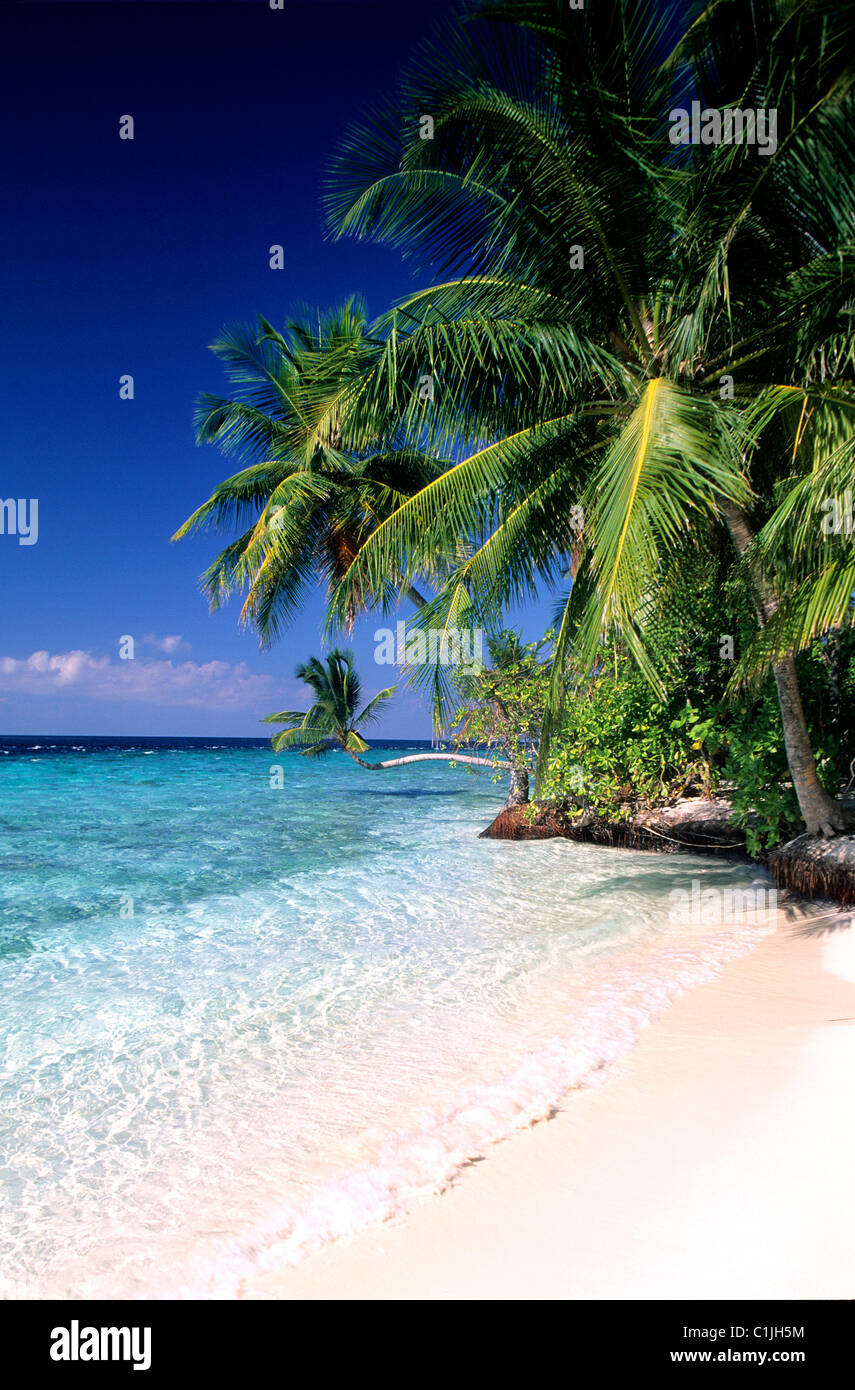 Maldives, Atoll Faafu (80 miles south of Male), Filitheyo Resort, 5 ...