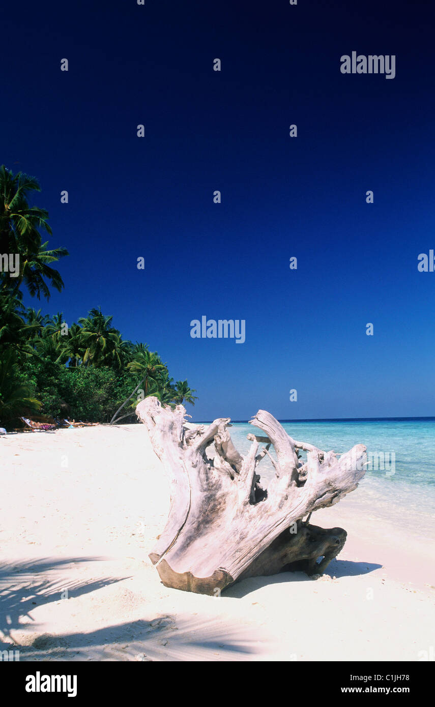 Maldives, Atoll Faafu (80 miles south of Male), Filitheyo Resort, 5 ...