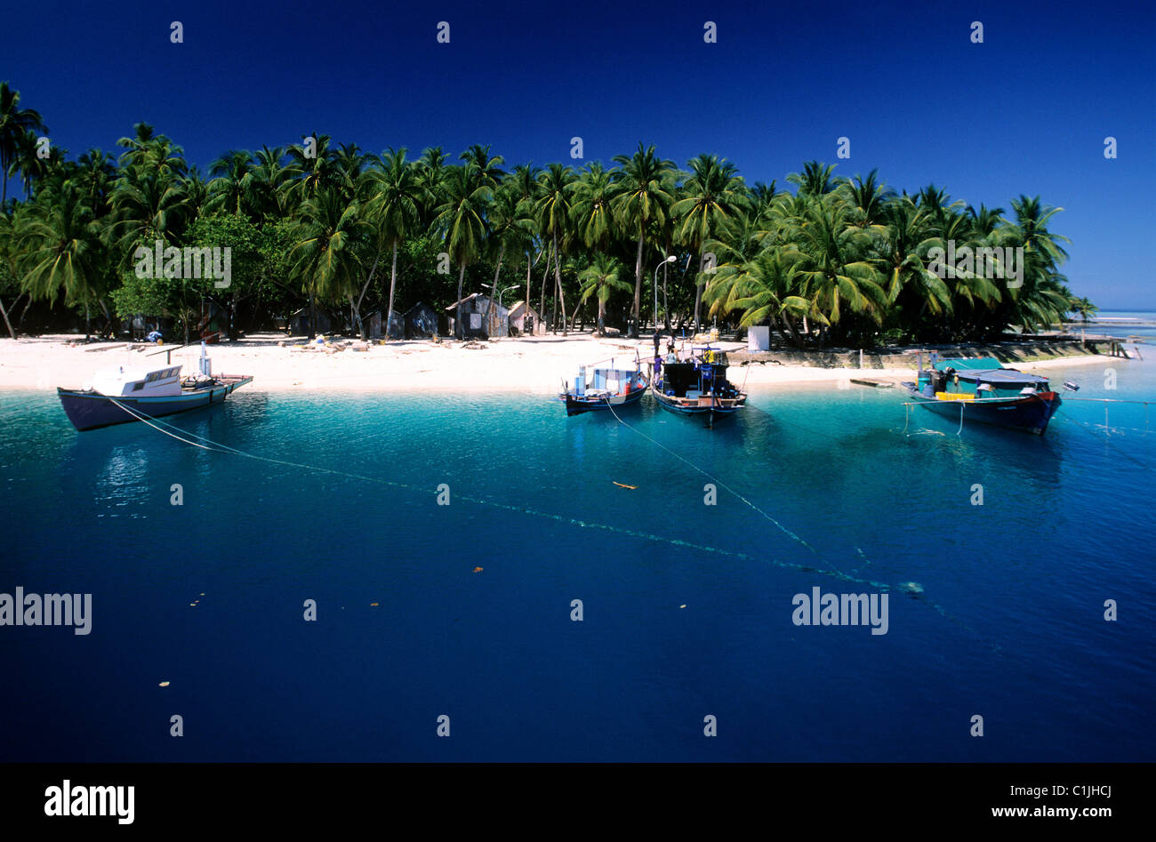 Maldives, Faafu Atoll (80 miles south of Male), inhabited Island by ...