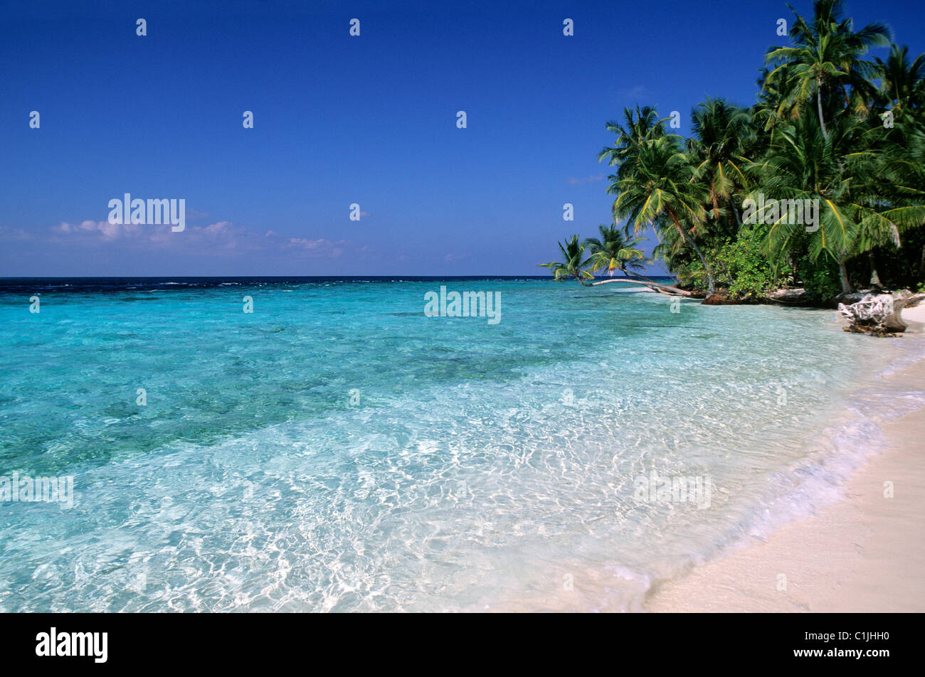 Maldives, Atoll Faafu (80 miles south of Male), Filitheyo Resort, 5 ...