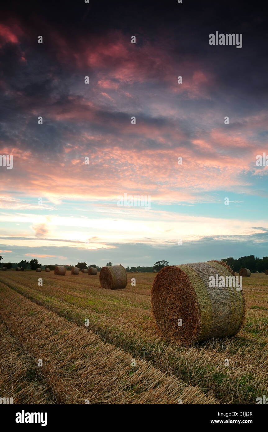 Suffolk Fields High Resolution Stock Photography and Images - Alamy