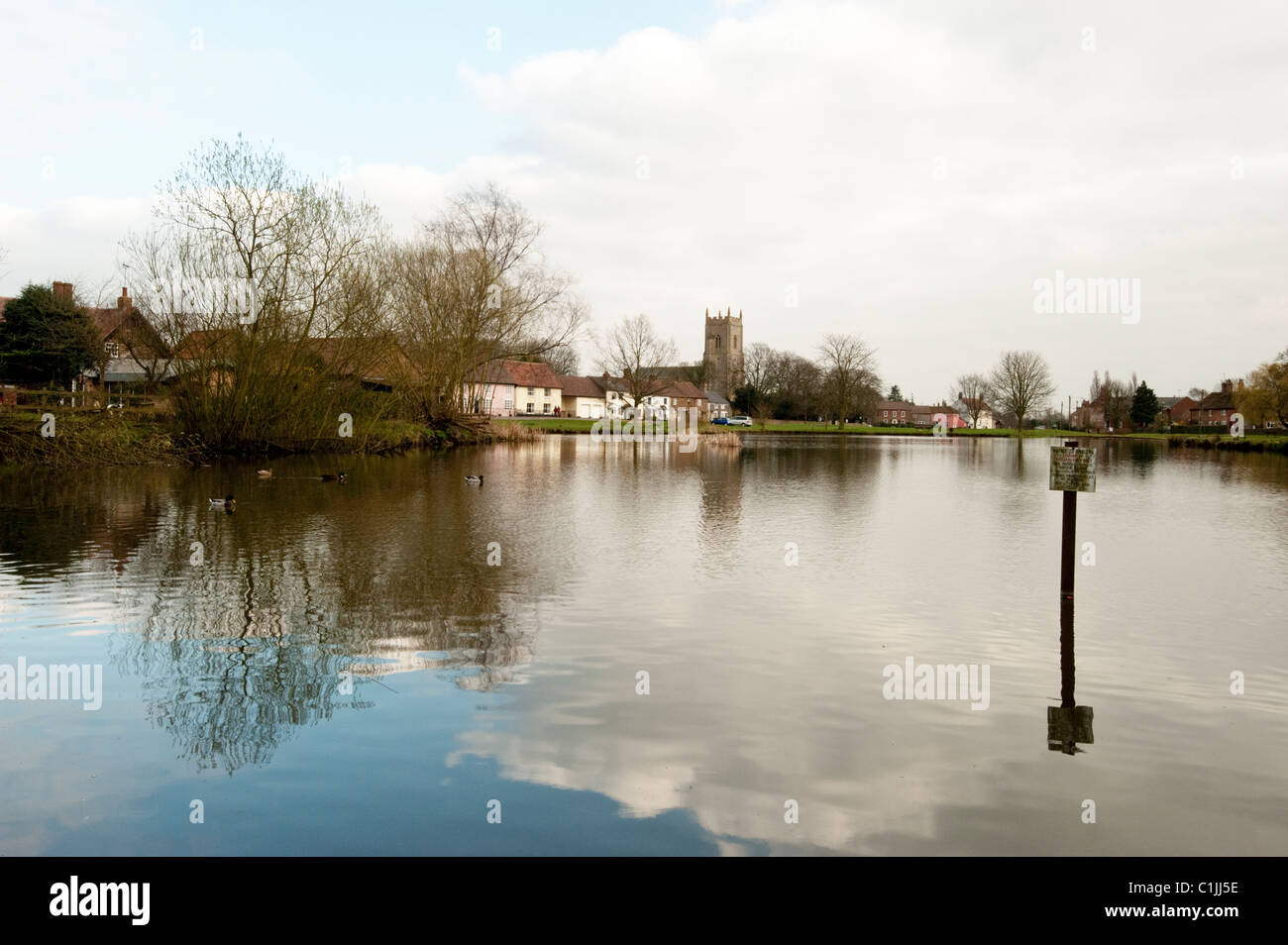 Village pond at Great Massingham, Norfolk Stock Photo - Alamy