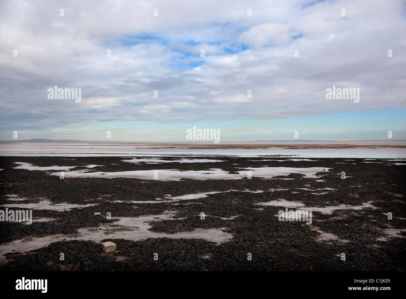 Low Tide on the Coastline of the Bristol Channel at Penarth South Wales ...