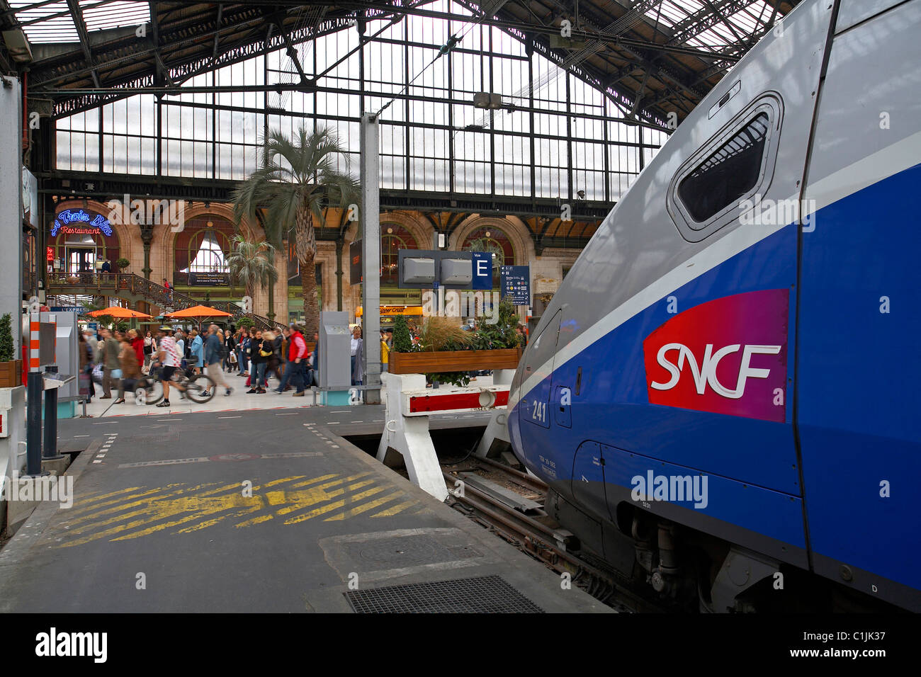 Tgv In Station Of Lyon High Resolution Stock Photography and Images - Alamy