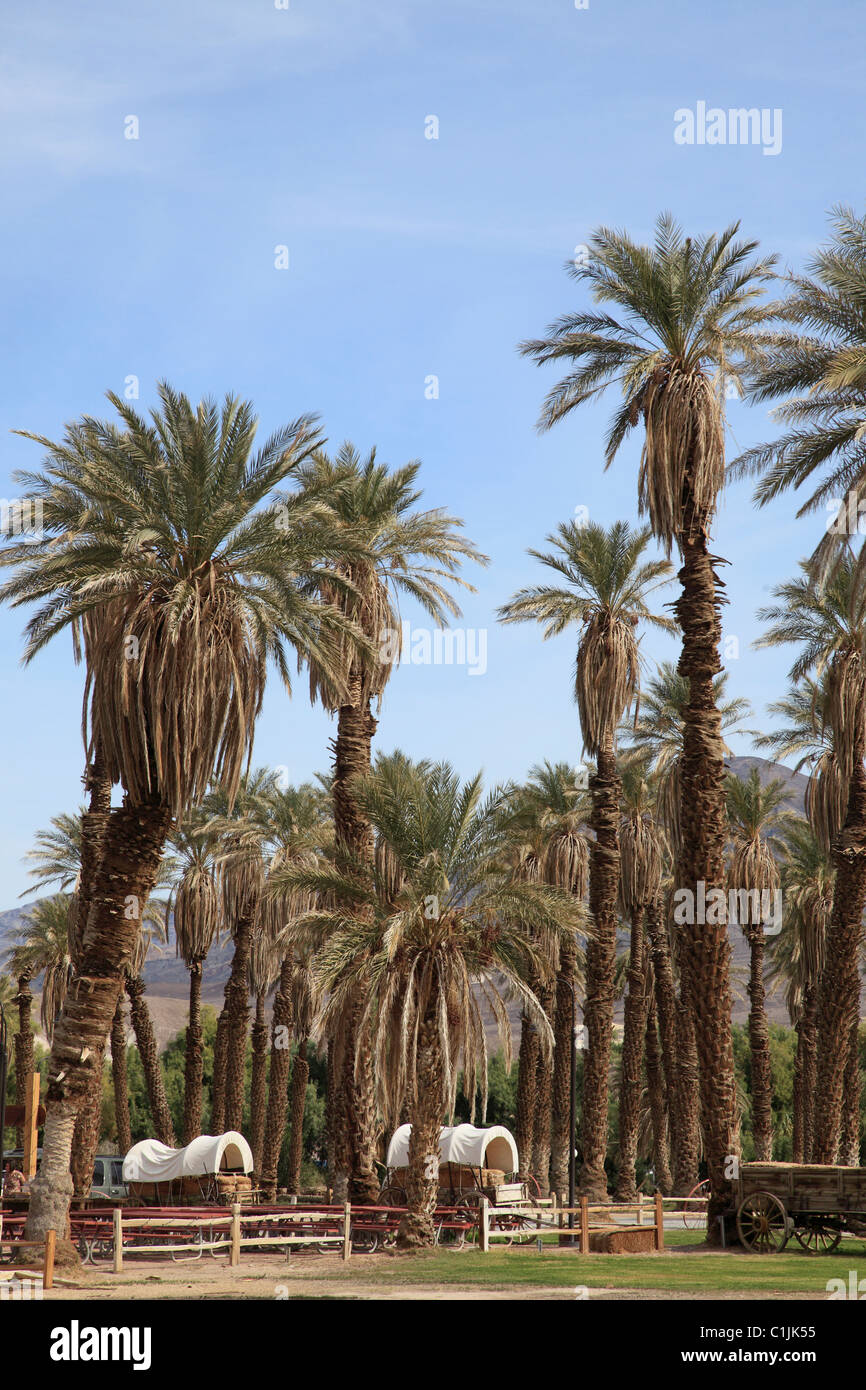USA, California, Death Valley, National Park, Furnace Creek Ranch Stock ...