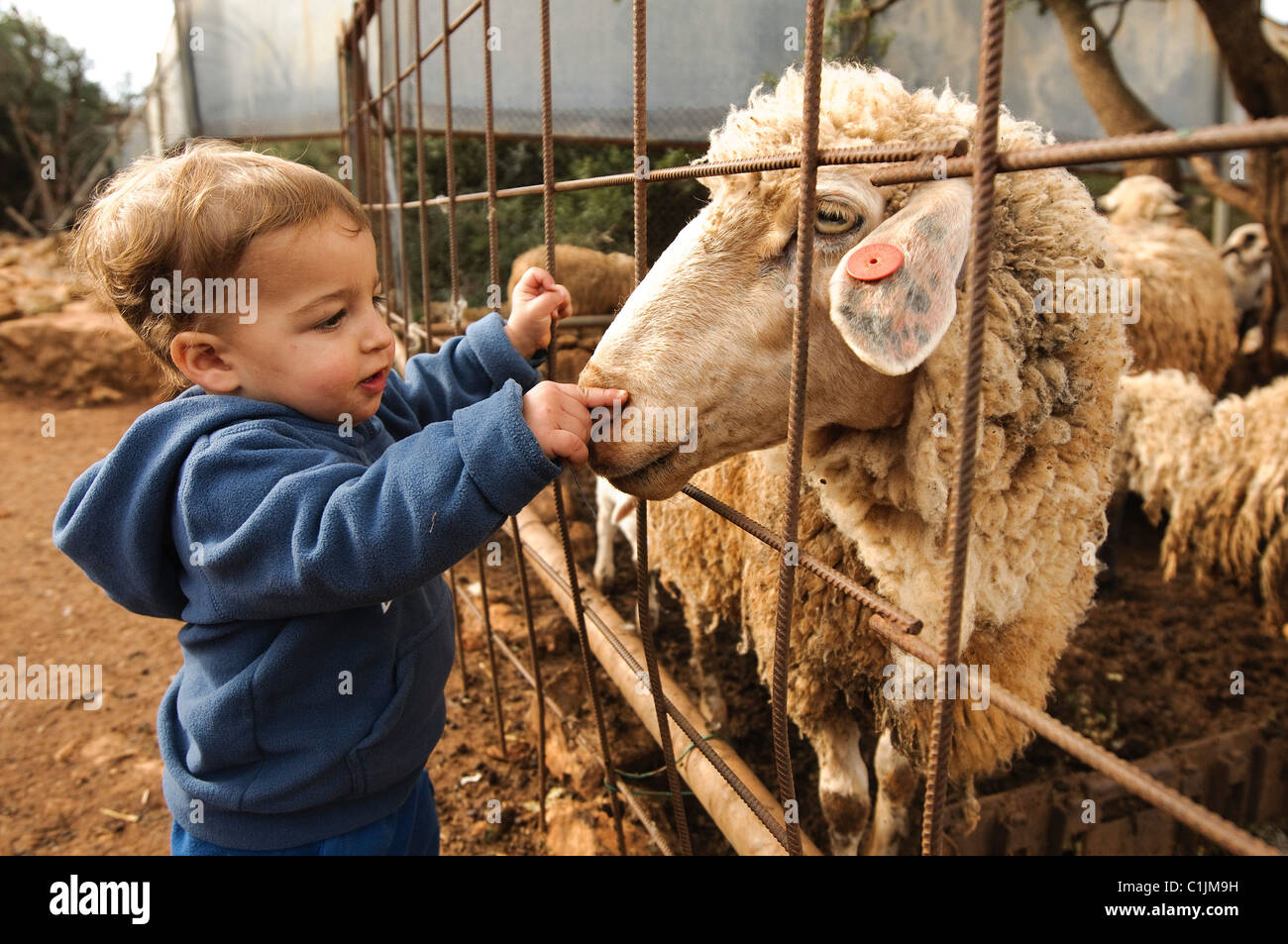 Children Patting Animal High Resolution Stock Photography and Images ...