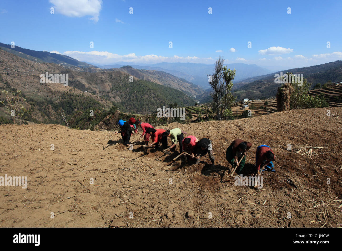 Rural nepali women hi-res stock photography and images - Alamy
