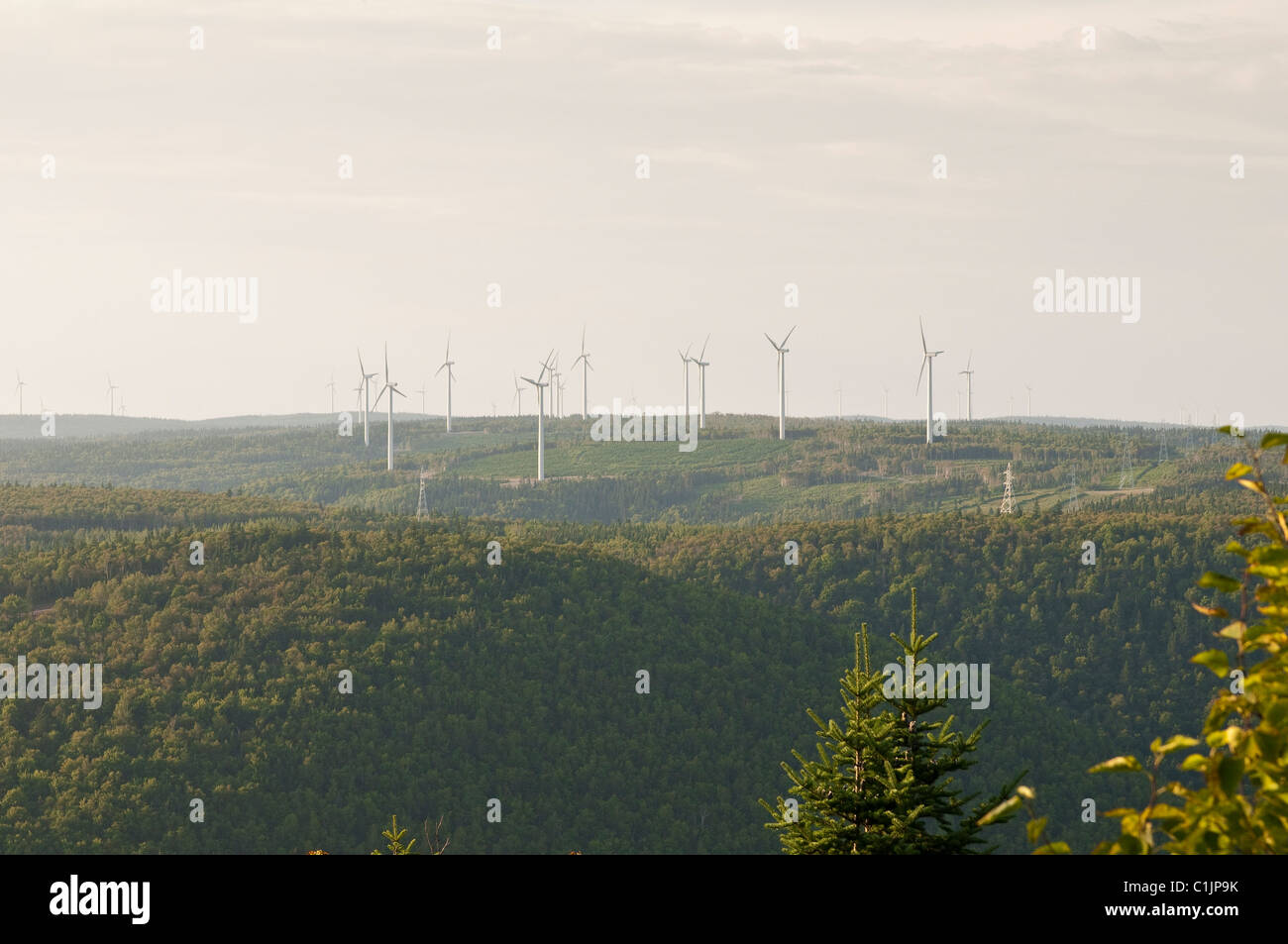 Quebec, Canada. Wind farm turbines in Carleton-sur-Mer Stock Photo - Alamy