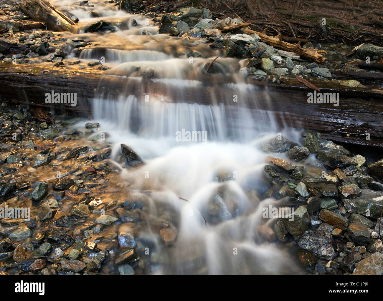 Stream outdoors hi-res stock photography and images - Alamy