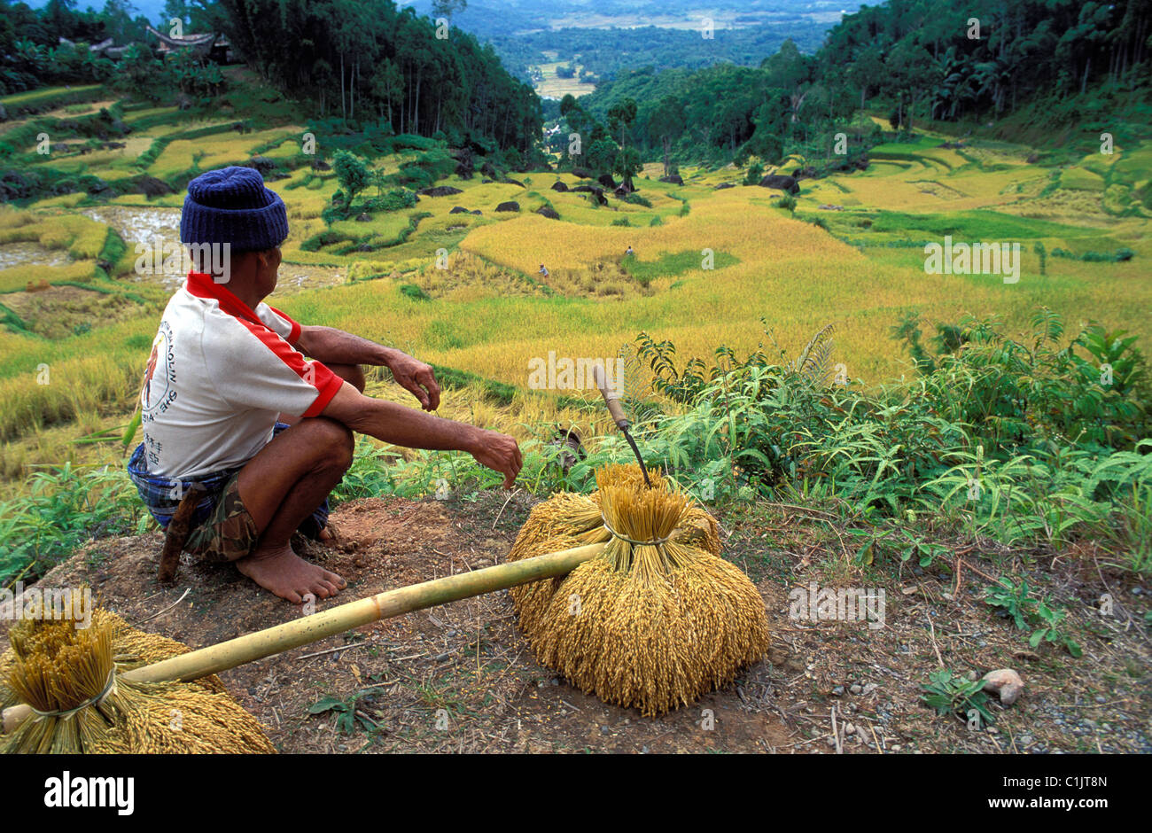 Squatting peasant hi-res stock photography and images - Alamy