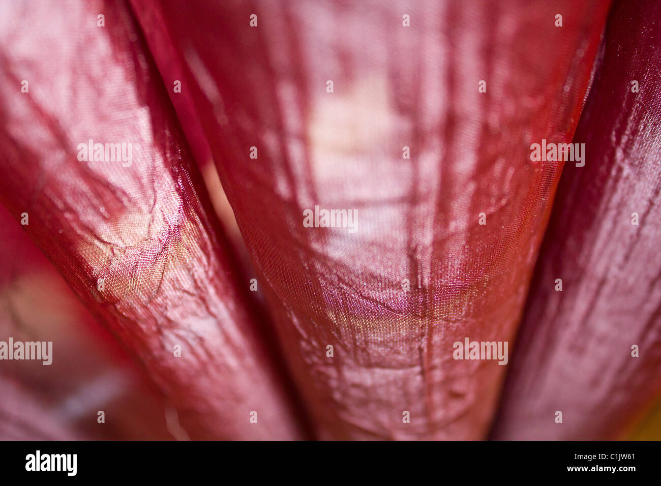 A close up photo of a red curtain Stock Photo - Alamy