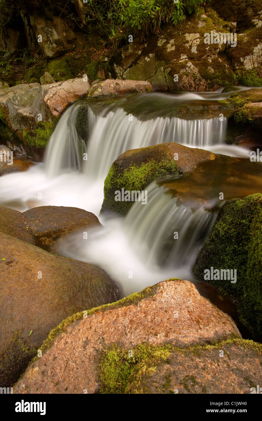 Shaugh prior river hi-res stock photography and images - Alamy