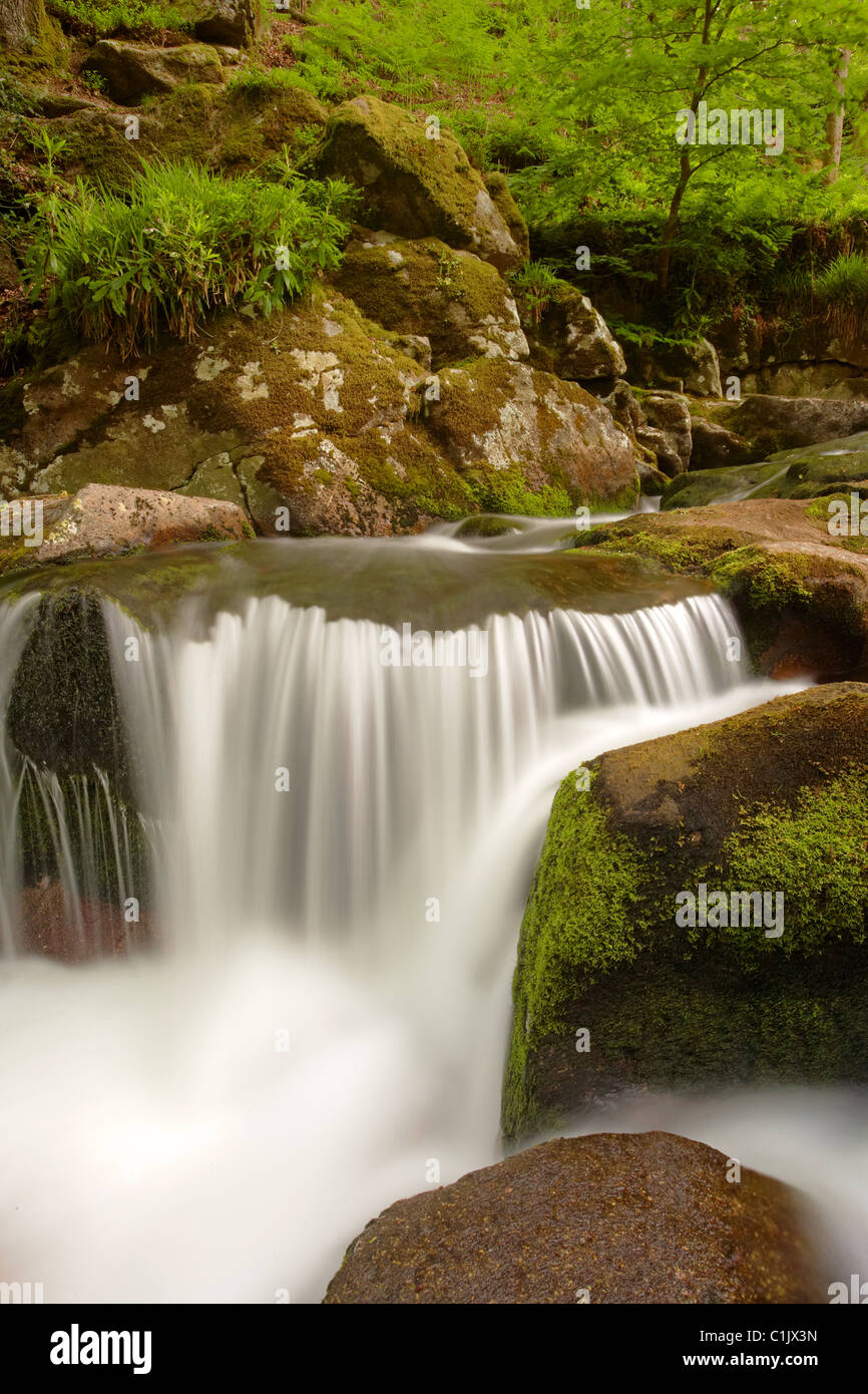 Waterfalls on the river Plym at Shaugh Prior in Spring Stock Photo - Alamy