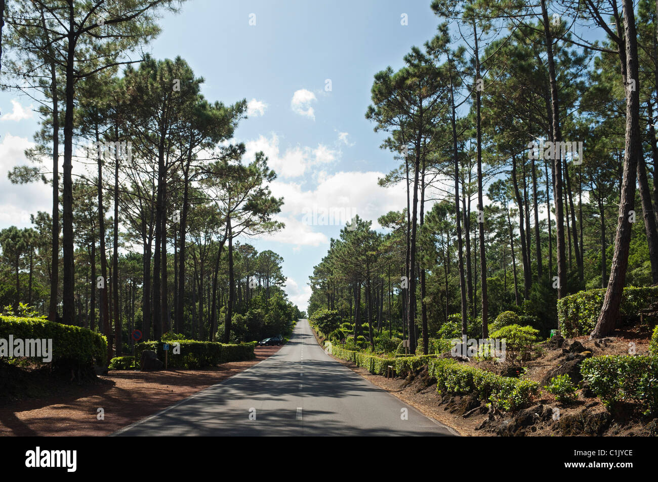Pico island road hi-res stock photography and images - Alamy