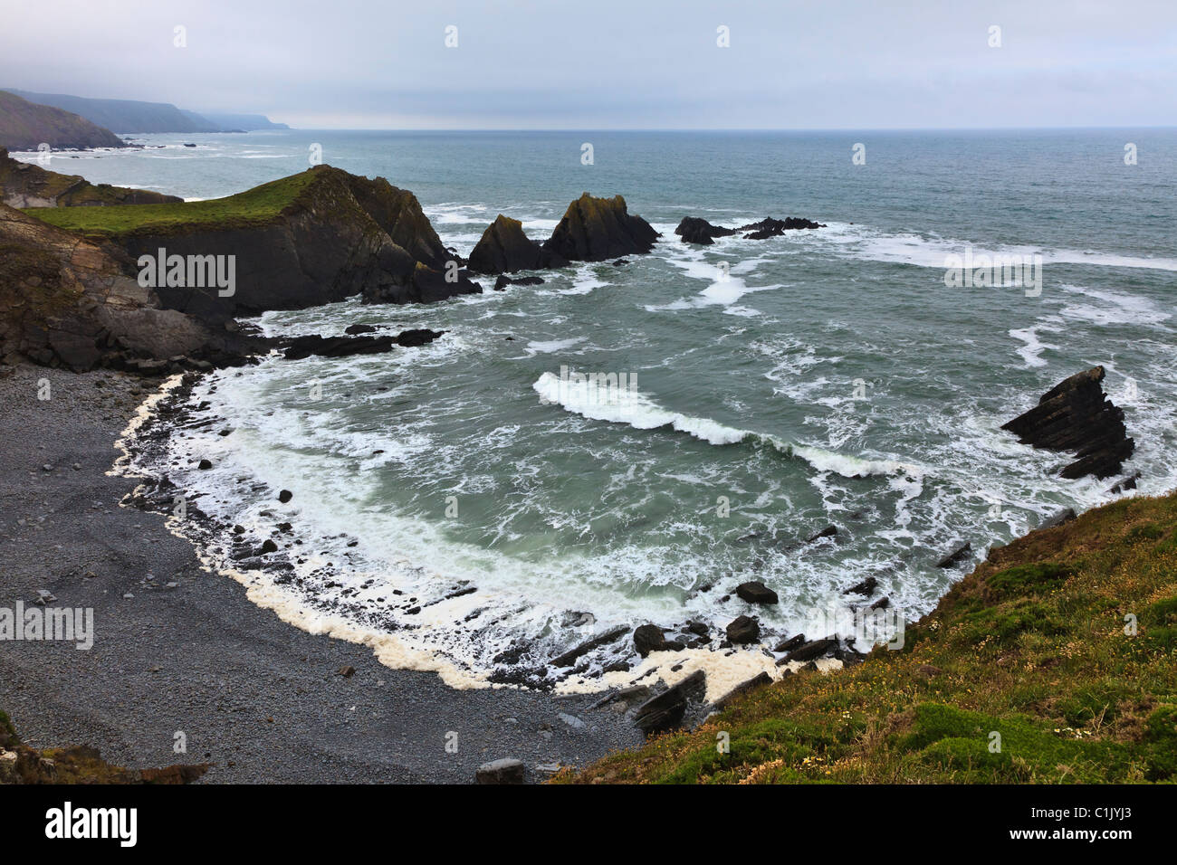 Hartland Quay wild rocky Devon coast cliffs rocks Stock Photo - Alamy