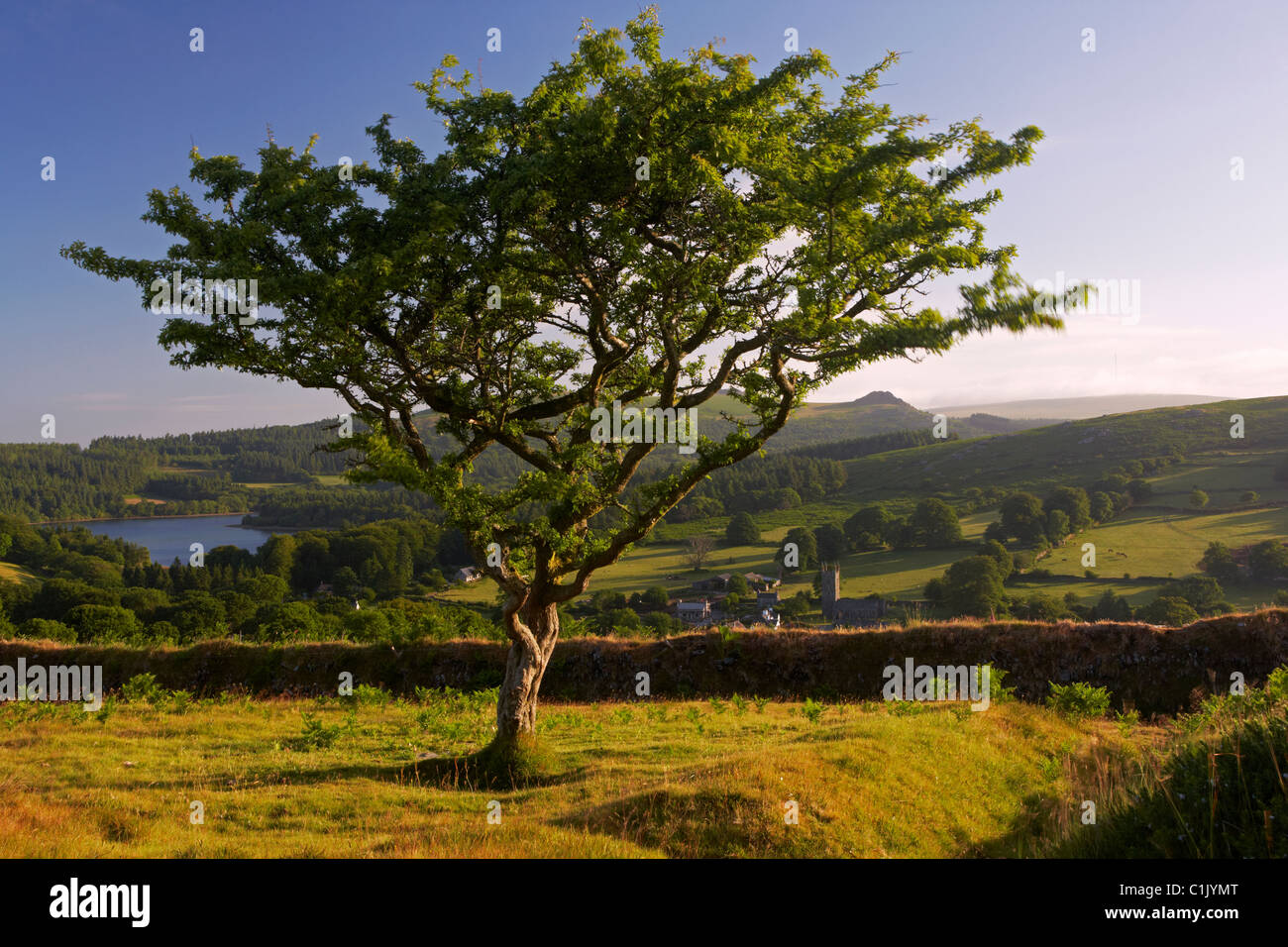 Summer view of Sheepstor village church and Burrator reservoir on ...