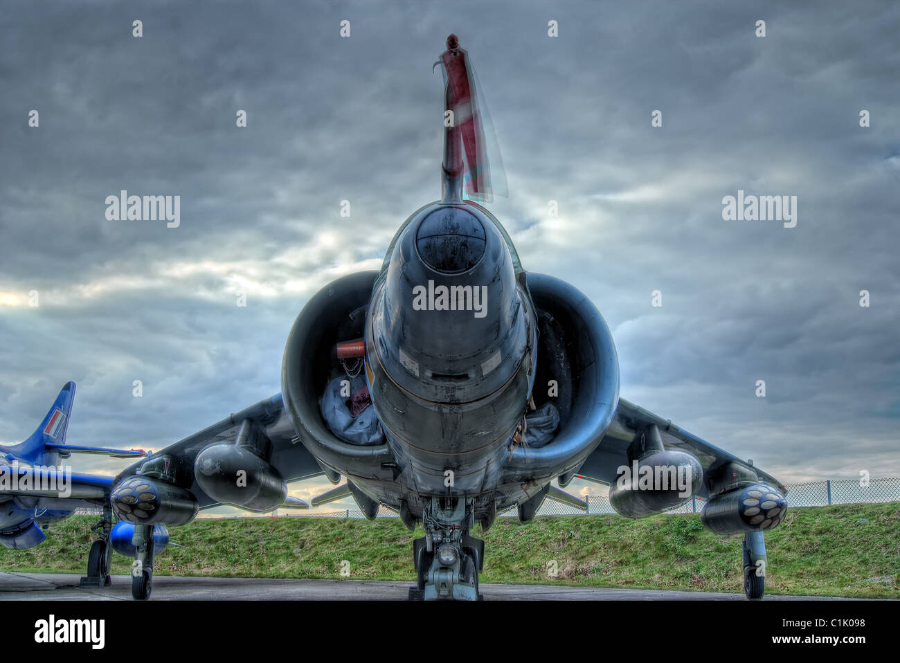 Falklands harrier hi-res stock photography and images - Alamy