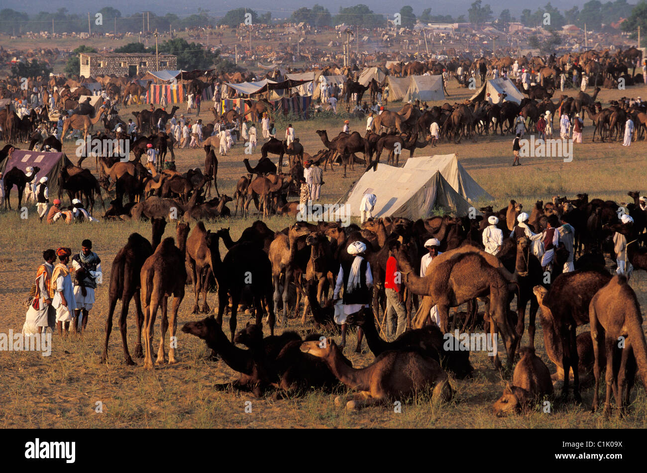Medium moon hi-res stock photography and images - Alamy