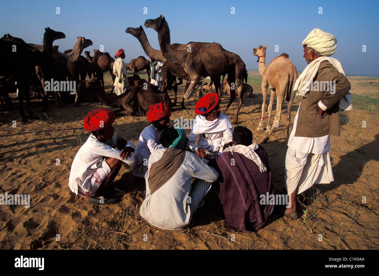 India, Rajasthan State, Pushkar, November Full Moon fair Stock Photo ...