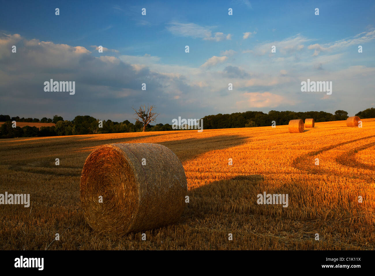 West ashton hi-res stock photography and images - Alamy