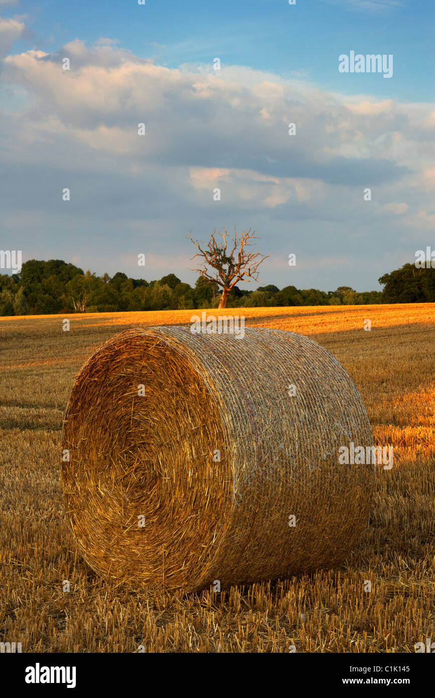 West ashton hi-res stock photography and images - Alamy