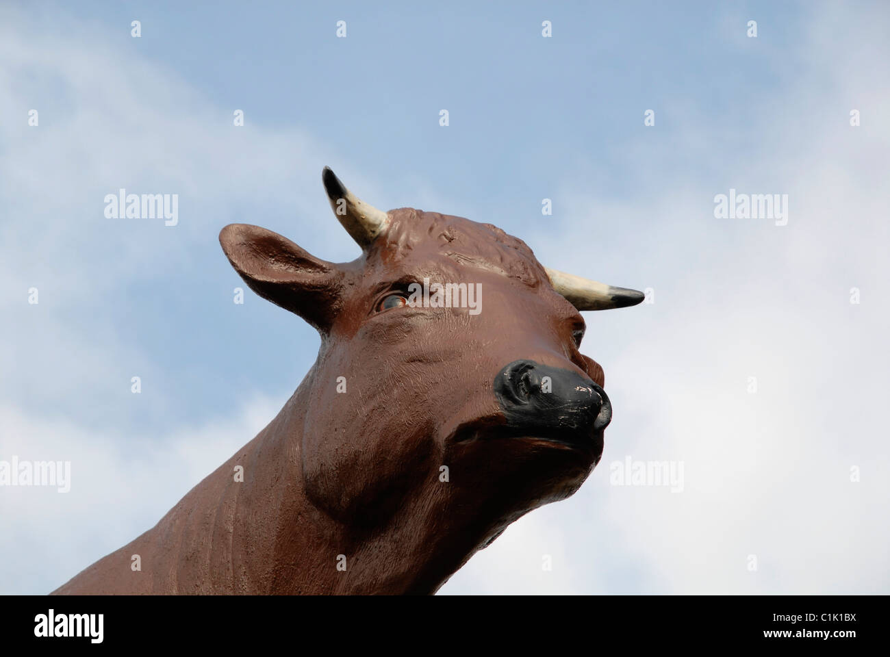 Model bull at the Steak and Pie Factory Public House in Himley ...
