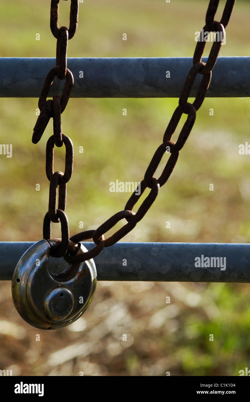 Chain and padlock round a farm gate Stock Photo - Alamy