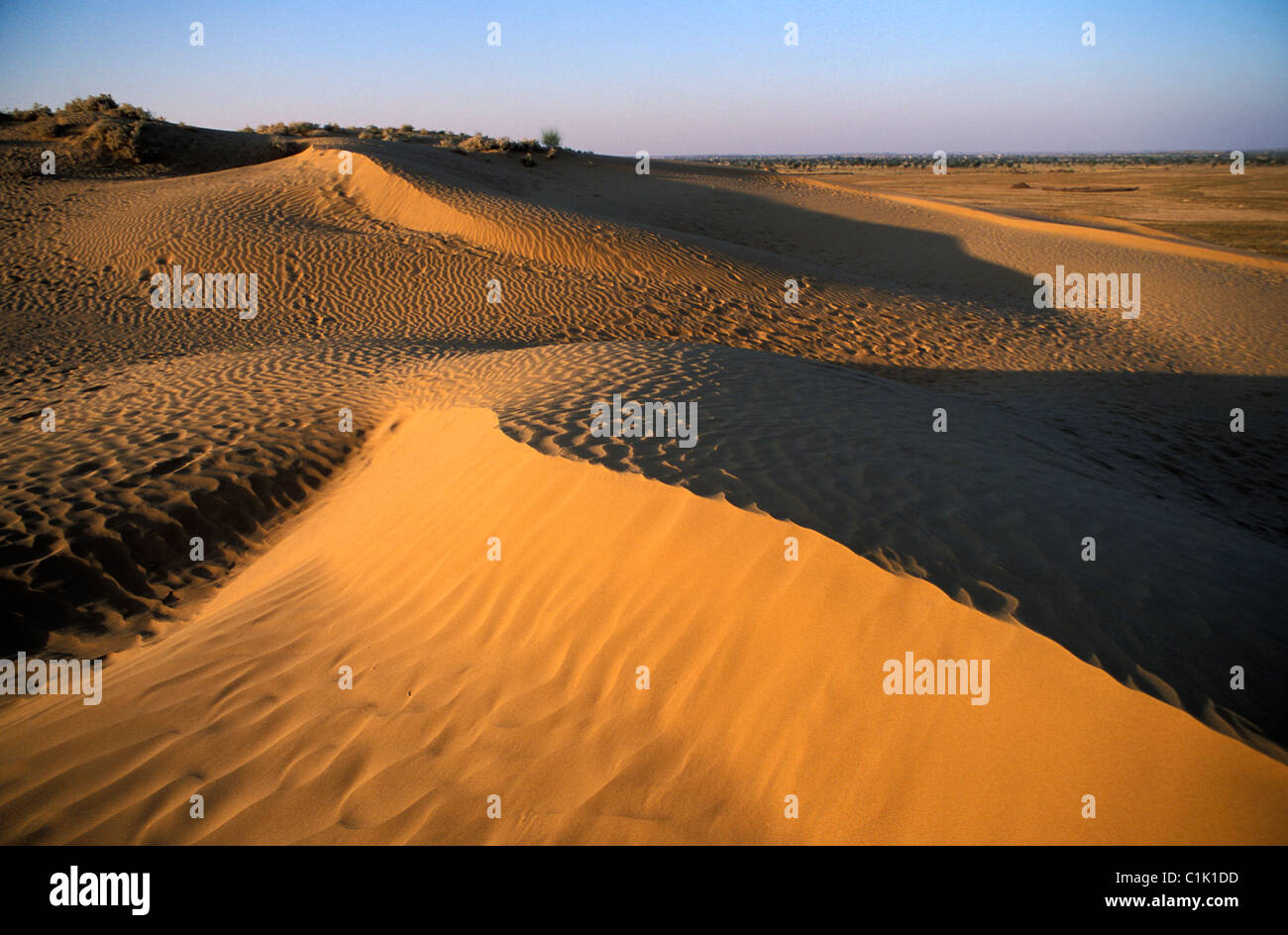 Khimsar hi-res stock photography and images - Alamy