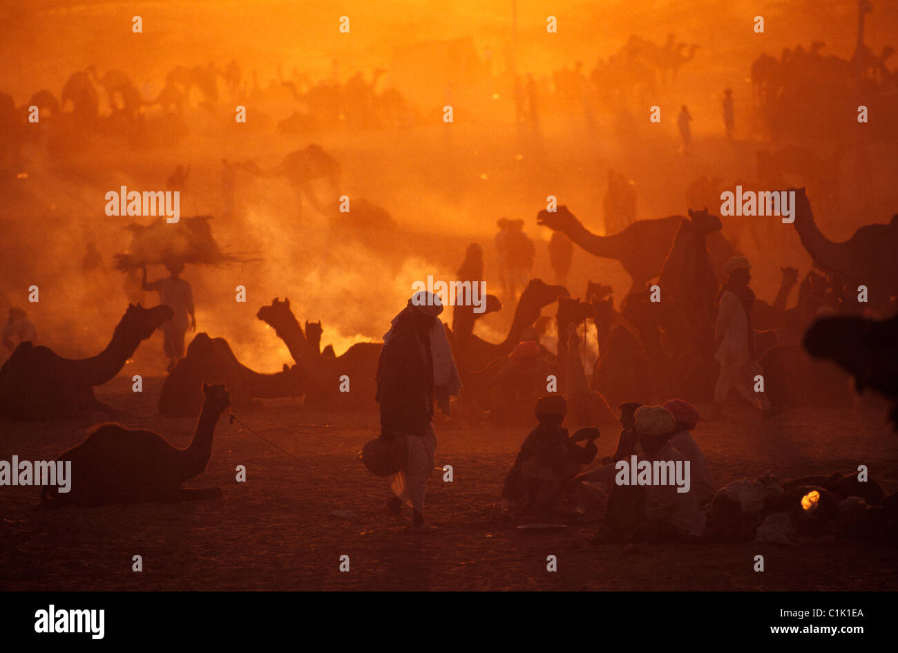 India, Rajasthan State, Pushkar, November Full Moon fair Stock Photo ...